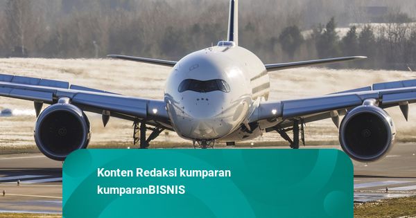 Indonesia Airlines Milik Singapura Siap Mengudara, Khusus Rute Internasional | kumparan.com